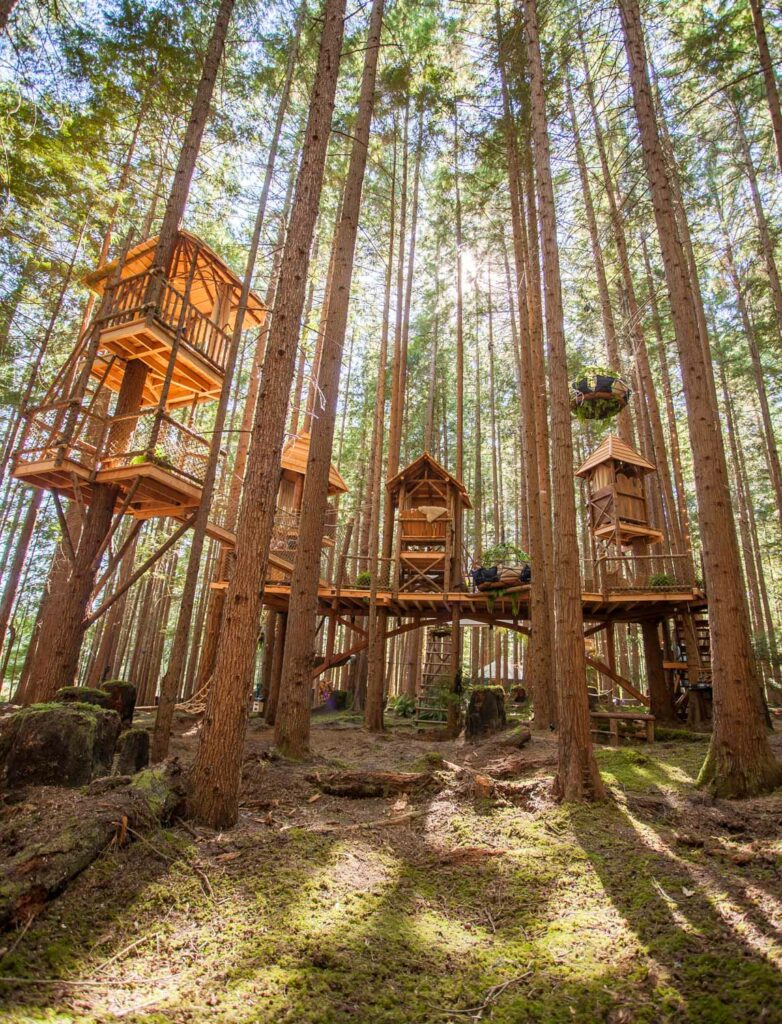 Coffee Break with Treehouse Designer Daryl McDonald - The Hutch