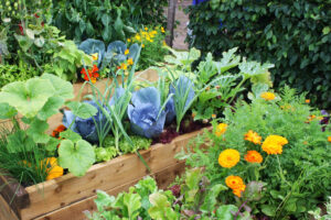 Gorgeous Flower Bed Ideas - Taskrabbit Blog