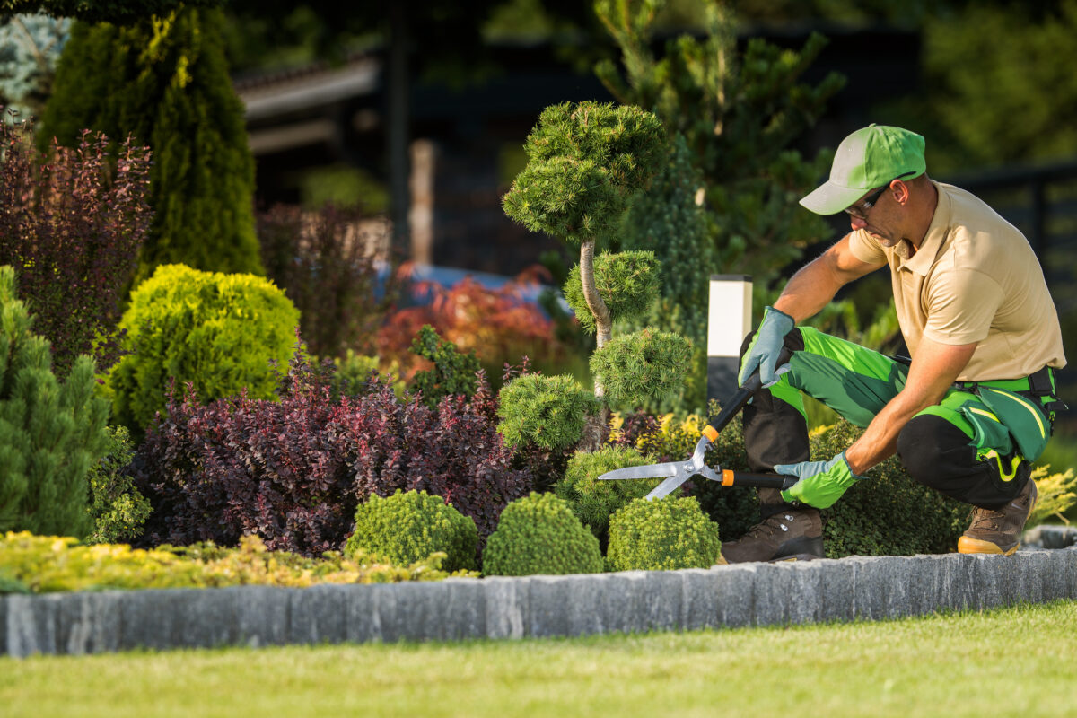 How Much Does a Gardener Cost? Average Hourly Rate - Taskrabbit Blog